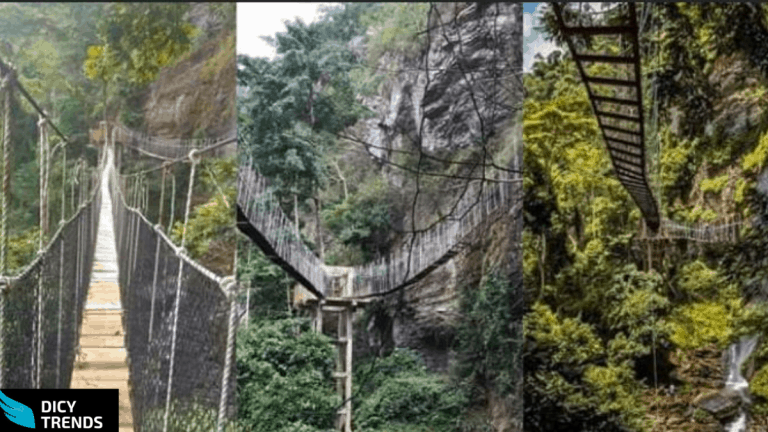 New canopy walk way built at Amedzofe in the Volta Region - Dicy Trends