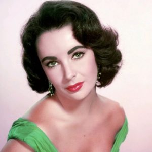 Michael Wilding Jr: Facts About Elizabeth Taylor's Son With Michael ...