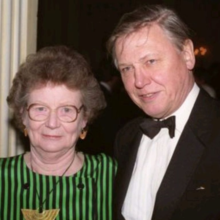 Jane Elizabeth Ebsworth Oriel: What Happened To David Attenborough's ...